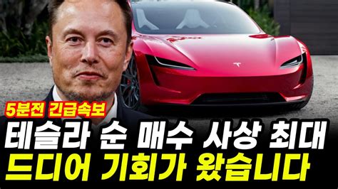 테슬라 전망 테슬라 순 매수 사상 최대 드디어 기회가 왔다 테슬라 테슬라주가 테슬라전망 테슬라목표가 테슬라차트 테슬라분석 테슬라주가전망 Youtube