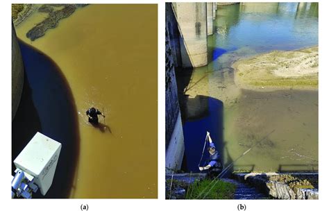 A The Streamflow Measurements Utilizing A Streamflow Meter B Using Download Scientific