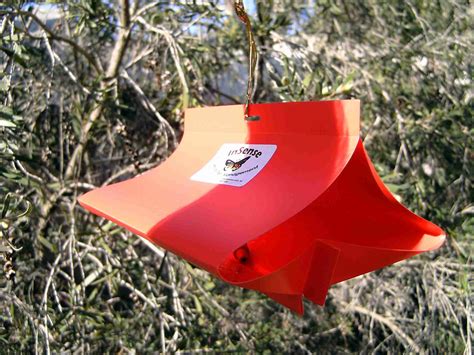 Codling Moth Traps Plantnet® Australia