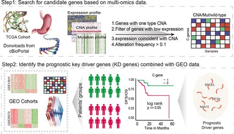 The Overview Step1 The Genomic Variation Spectrum Of Gastric Cancer Download Scientific