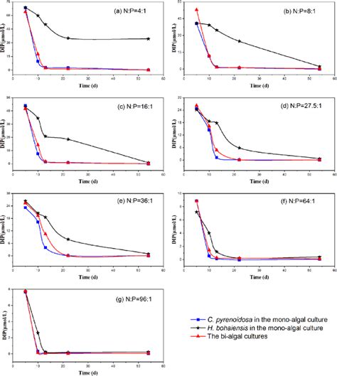 Phosphate Concentration Evolutions In Mediums Of Various Initial Np