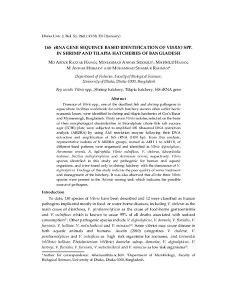Pdf 16s Rrna Gene Sequence Based Identification Of Vibrio Spp In Shrimp And Tilapia