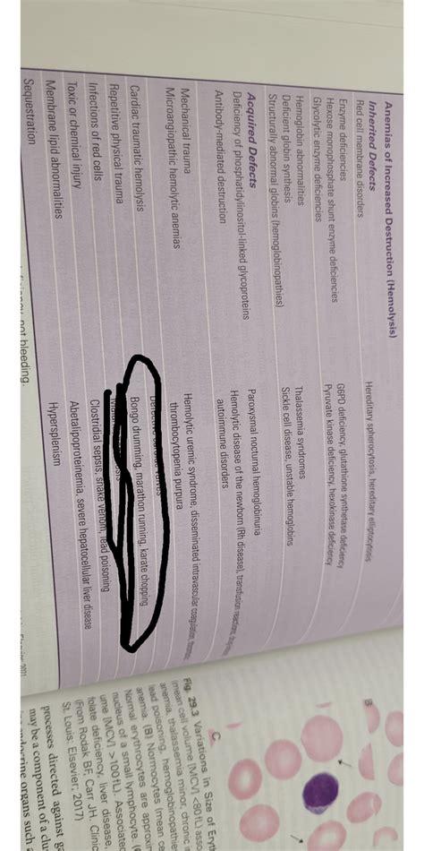 This Patho Book Though Rnursing