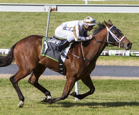 Assertive Play Wins At Morphettville Atkins Photography Jj Gordon