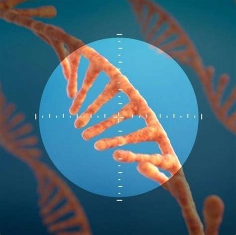 rohit singh on linkedin appliedbehavioranalysis dataanalytics biotech