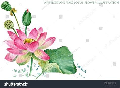 분홍색 연꽃수채화 식물화 스톡 일러스트 621758405 수채화 연꽃 식물 삽화 꽃 배경