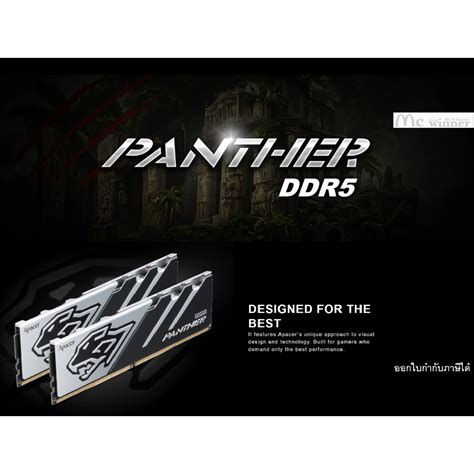 Ram Ddr55200 16gb 32gb Apacer Panther Gaming Black