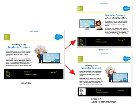 Modular Content In Salesforce Marketing Cloud Showerthinking