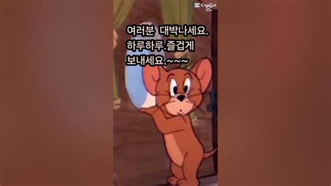 오늘도 피곤한 하루 웃음으로 편한밤되세요 Youtube