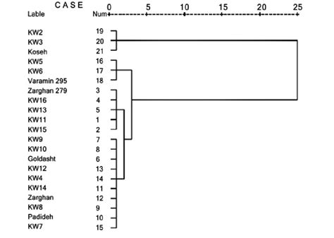 Dendrogram Of Similarities In Resistance Among The Safflower Genotypes