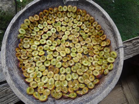 ჩემი სოფელი სურათები