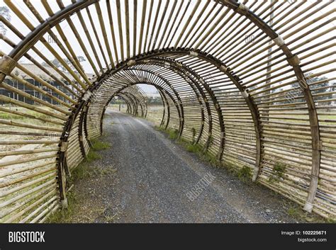 Bamboo Tunnel Image And Photo Free Trial Bigstock