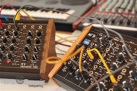 MFB Tanzbär Kraftzwerg Urzwerg Pro Dominion Wooden Side Reverb