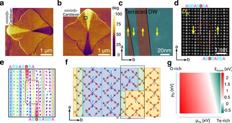 Kinked Buffer Layer Induced Terraced Domain Wall In Bi2teo5 A B Download Scientific Diagram