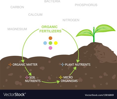 Organic Nutrients Chart