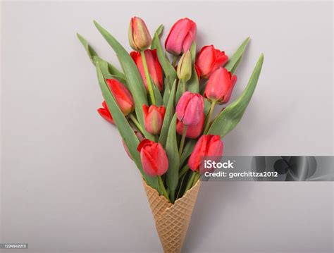 카드와 아이스크림 와플 콘에 빨간 아름다운 튤립 콘크리트 배경에 당신을 안녕하세요 꽃 선물의 개념 적 아이디어 봄 분위기 개념에 대한 스톡 사진 및 기타 이미지 Istock
