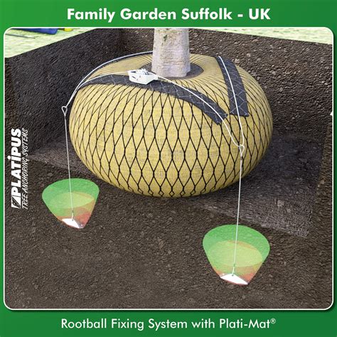 No Project Too Big Or Small For Platipus Tree Anchors Platipus Anchors Earth Anchoring Systems