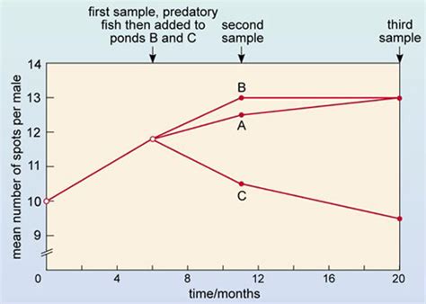 Evolution Through Natural Selection View As Single Page Openlearn