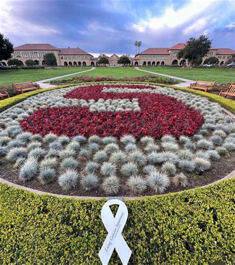 tomek thomas k cse on linkedin stanford californiadreaming