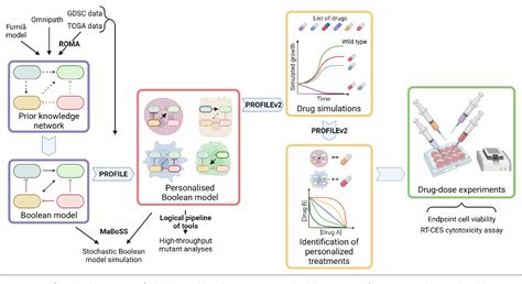 Figure 1 From Patient Specific Boolean Models Of Signalling Networks