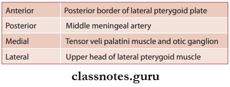 Anatomy Of Head And Neck Question And Answers Class Notes