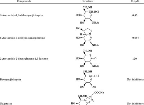 Inhibition Of N Acetylglucosaminidase Activity By Substrate Analogs