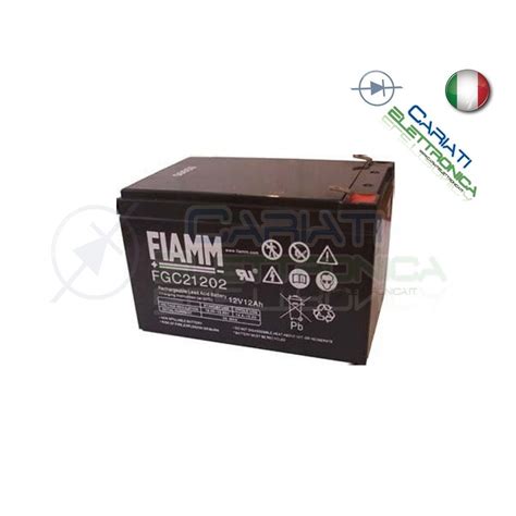 Batteria Al Piombo Ricaricabile Fiamm Ciclica Fgc V Ah Bic