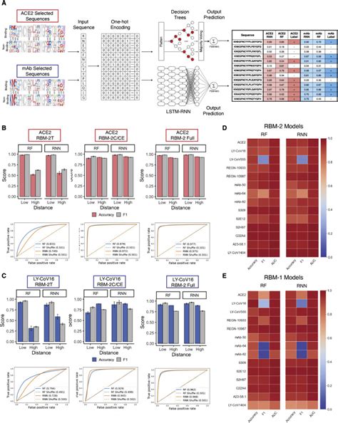Deep Mutational Learning Predicts Ace2 Binding And Antibody Escape To