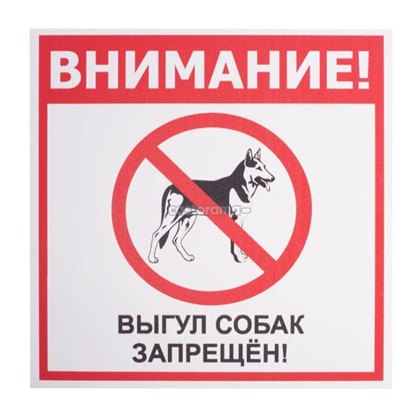 Табличка Выгул собак запрещен 200 х 200 мм купите по низкой цене в ...