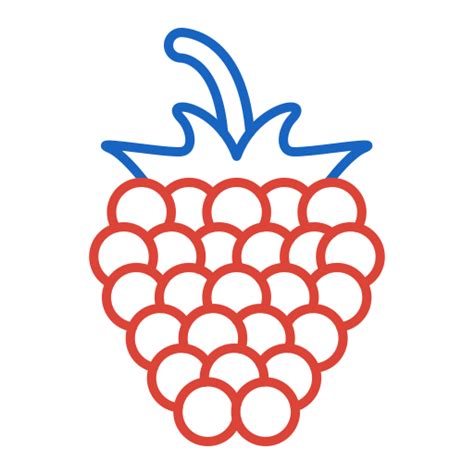 Raspberry Generic Color Outline Icon Raspberry Generic Color Outline Icon