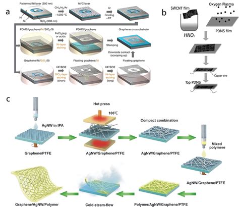 A Synthesis Etching And Transfer Processes For The Large Scale And Download Scientific