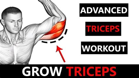 Advanced Triceps Workout Muscle Building Workout Cable Tricep Workout Youtube