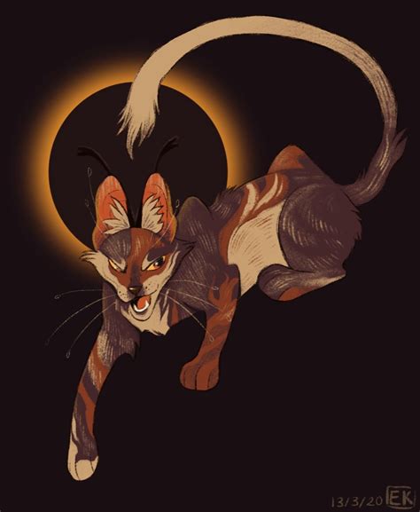 Сол коты воители - фото и картинки: 66 штук