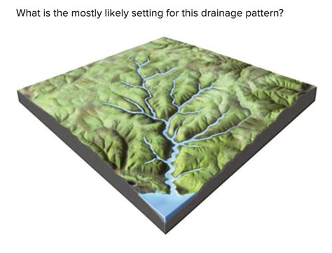 Solved What Is The Mostly Likely Setting For This Drainage