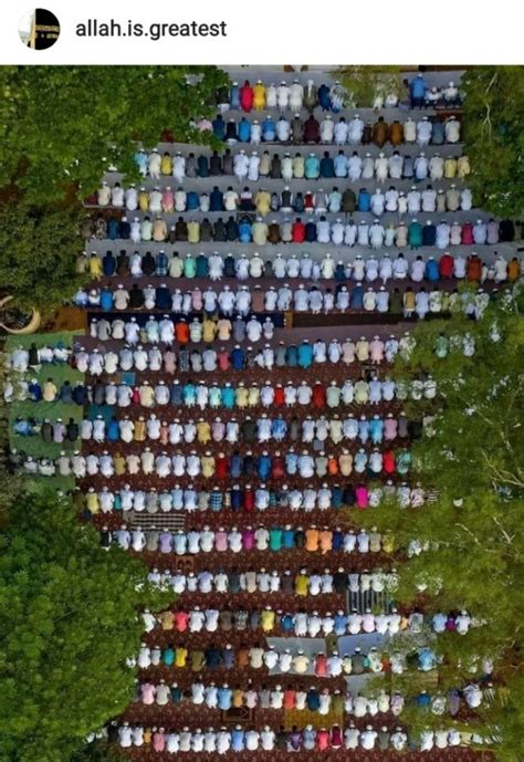 Mohamed Anash Posted On Linkedin