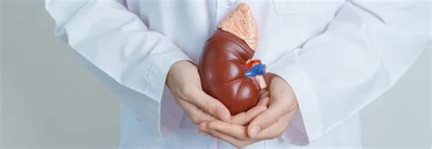 Was Ist Ercp Endoskopische Retrograde Cholangiopankreatographie Medicalpoint International