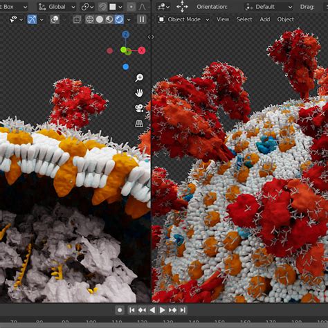 A Scientifically Accurate 3d Model Of Sars Cov 2 Cgtrader