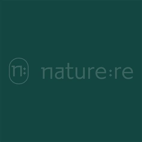 Corn Plant Nature Re