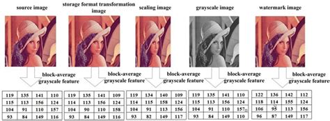 Analysis Of Grayscale Information Of Sample Image Download Scientific Diagram