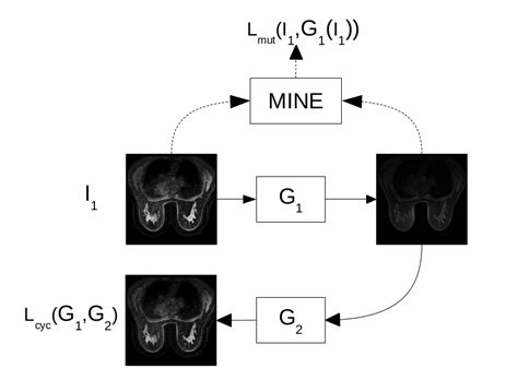 An Illustration Of The Proposed Mutual Information Loss Download