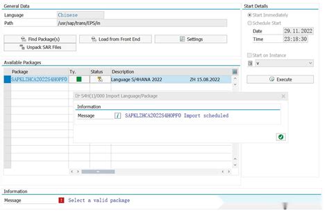 Sap S4hana 2022安装记录：6 安装中文语言包 知乎