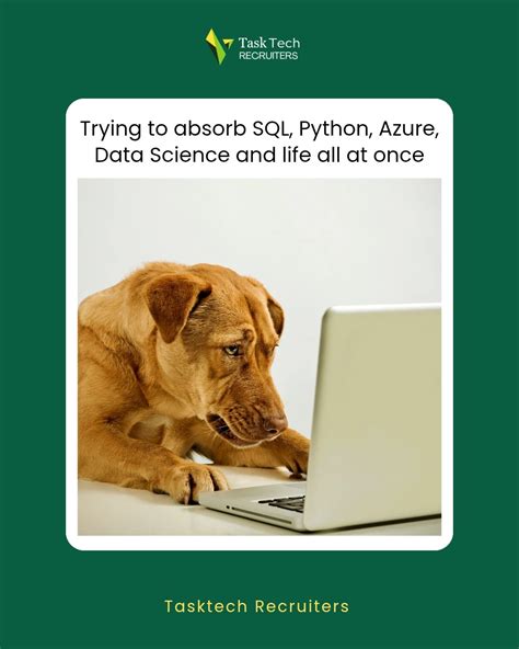 Learn Sql Python Azure Data Science With Tasktech Recruiters