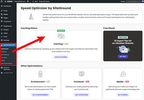 Speed Optimizer By Siteground 设置教程 歪猫跨境 Waimaob2c