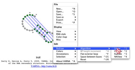 Pseudoknot Tutorial — Boulder Ale