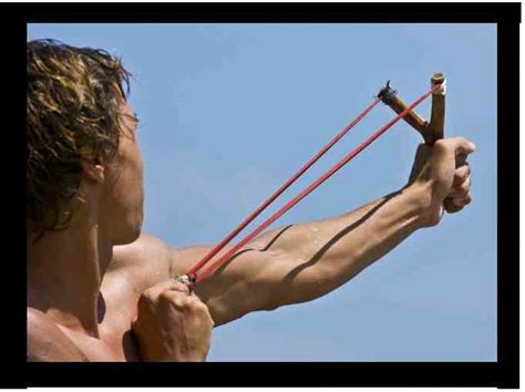 Elasticity Numerical On Stress Strain Youngs Module Class 11 Physics