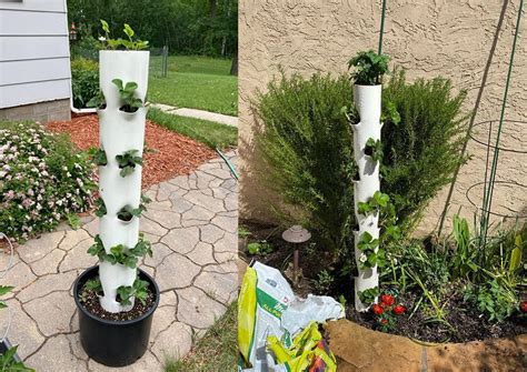 Pvc Strawberry Planter At Claudia Aunger Blog