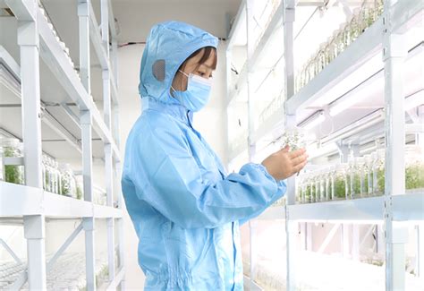 实验防护服 实验防护服 杭州木木生物科技有限公司