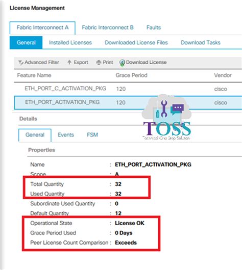 CISCO UCS License Installation Simple Steps TOSS