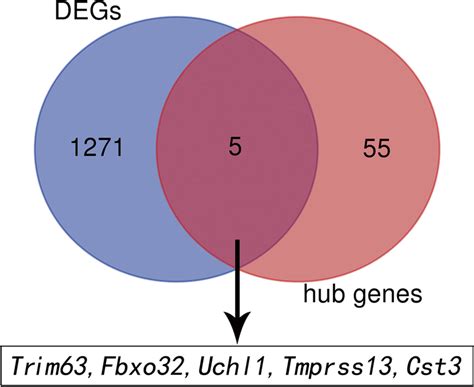 Venn Diagram Utilized To Screen For The Co Differentially Expressed Hub