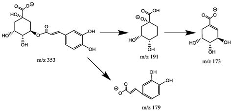 molecules free full text compounds identification in semen cuscutae